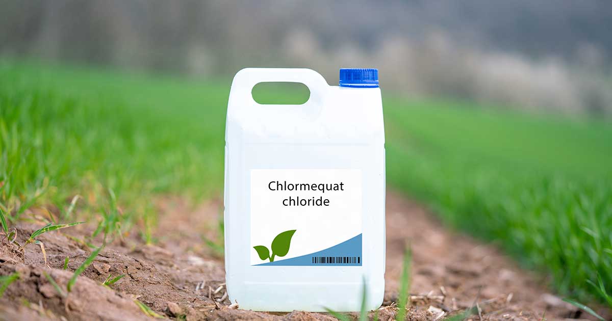 Chlormequat Chloride – True Cellular Formulas®